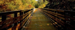 What’s A Rail-Trail? | West Virginia Rails To Trails